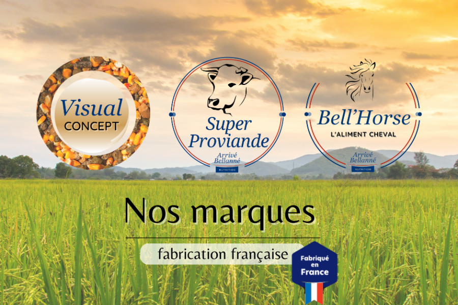 NOUVELLE MARQUE GARDEN BASSE-COUR : NOUVEAU LOGO, NOUVELLE GAMME ...